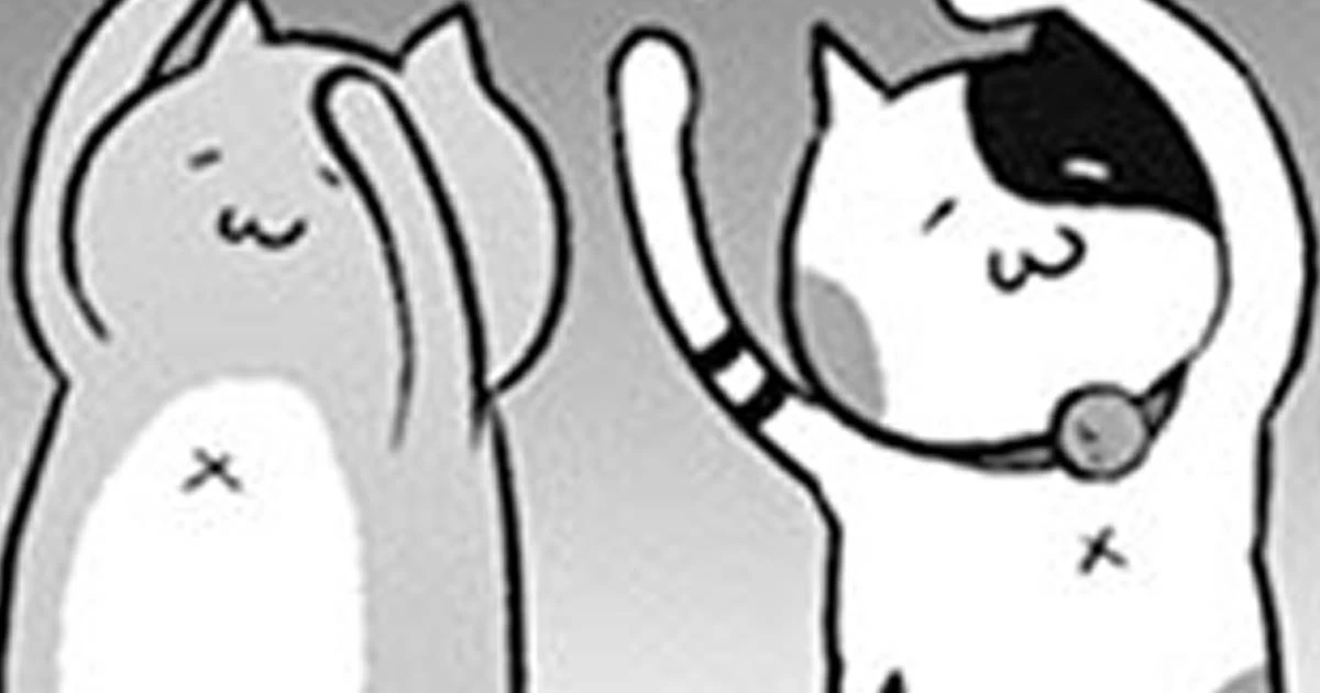 猫工船・1日め | ビッコミ（ビッグコミックス）
